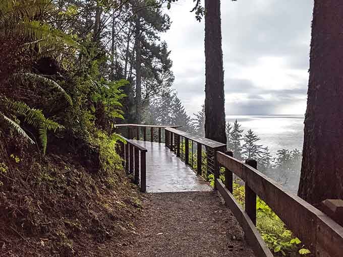 This weathered boardwalk winds through misty forest, leading adventurers toward hidden coastal treasures just beyond the trees.