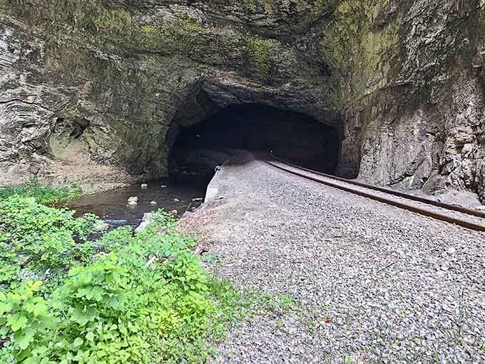 Railroad tracks lead straight into this mountain's heart where nature carved a tunnel so perfect that engineers simply said "thank you."