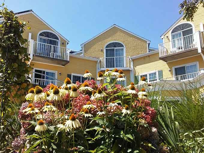 Cheerful yellow buildings and blooming gardens create a waterfront scene that belongs on a New England travel poster's greatest hits.