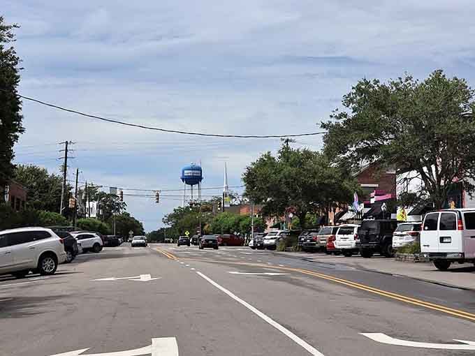 Wide streets stretch toward the horizon under mature oak trees, the kind of main street where everyone still waves hello.
