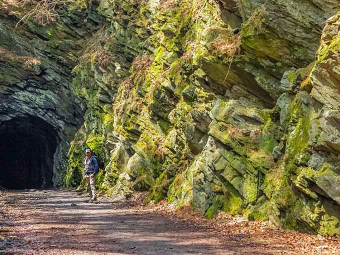 Moss-covered canyon walls create a mystical green corridor where ancient secrets seem to whisper overhead.