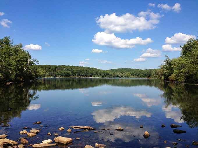 This glacial pond sits perfectly still, mirroring clouds and trees—a mountain-top mirror that took 10,000 years to polish.