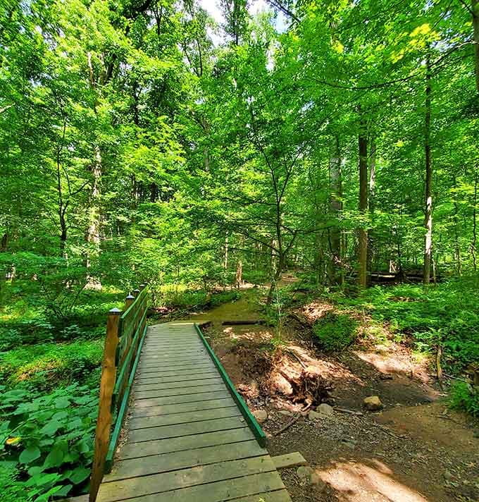 This wooden bridge crossing a babbling brook is where Thoreau would have stopped to write poetry about simple pleasures.