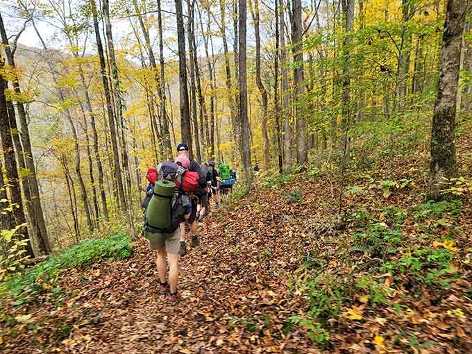 Hikers wind through autumn woods toward limestone amphitheater walls that tower higher than most office buildings you've seen.