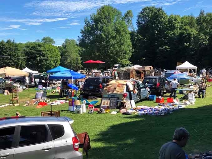 Green grass and blue skies frame this bustling outdoor scene where bargain hunters spread their wares wide.
