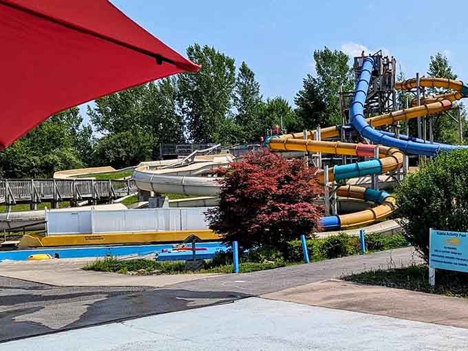 That ornamental tree adds unexpected elegance to the slide collection—someone understood aesthetics matter even when you're soaking wet.