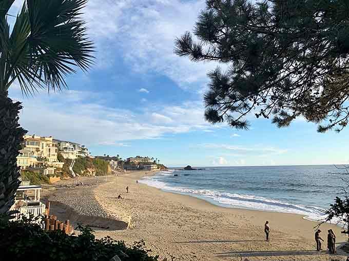 Gentle waves kiss the shoreline as pine branches frame this peaceful cove, nature's own picture-perfect composition.