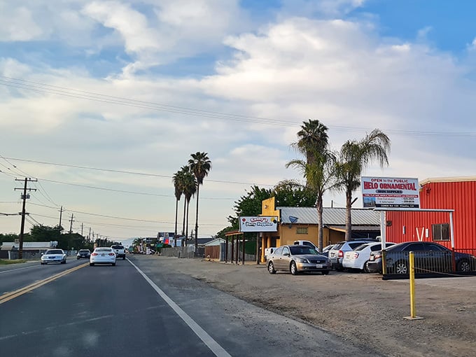 Palm trees sway along wide boulevards where the desert meets affordable living in perfect harmony.