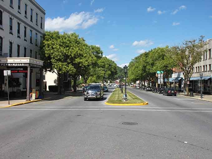 Wellsboro's tree-canopied main street offers shade and beauty, proving small towns knew about green spaces long before trends.