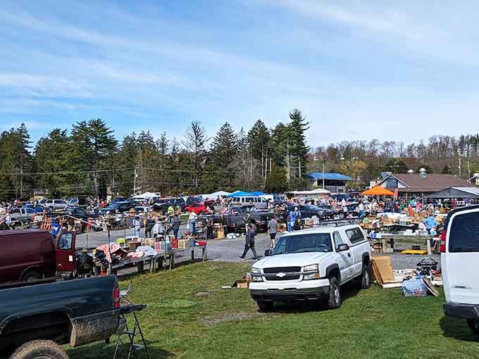 A sea of tables stretches toward the tree line, promising adventure for every dedicated bargain hunter.