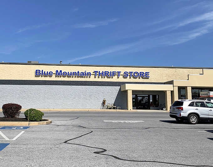 Perfect blue skies frame bold lettering that promises bargains big enough to see from the next county over.