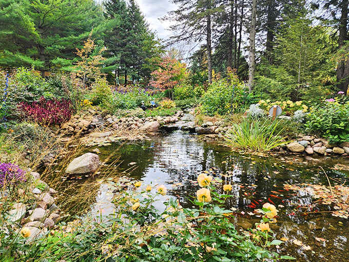 Water lilies float peacefully in this garden pond, surrounded by vibrant blooms that bring children's literature to life.