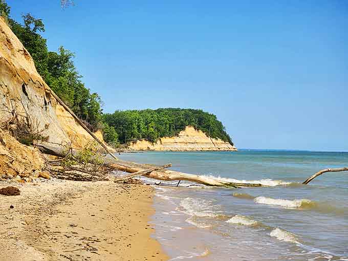 Those dramatic cliffs tower above the beach, their layered sediment revealing millions of years of geological history in stunning detail.