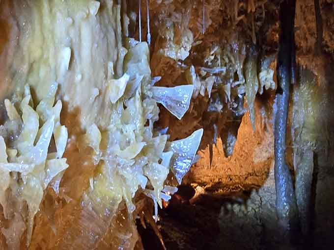 Delicate crystal formations hang like frozen chandeliers, sparkling proof that nature's the original interior designer with unlimited time.