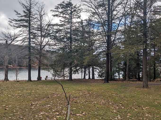 Tall pines frame the quiet shoreline in this peaceful retreat, where lake breezes whisper through branches and worries drift away like clouds.