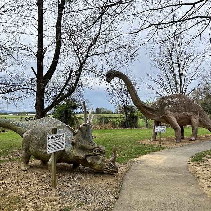 A Styracosaurus and long-necked friend greet visitors along the path to prehistoric fun and family photo opportunities.