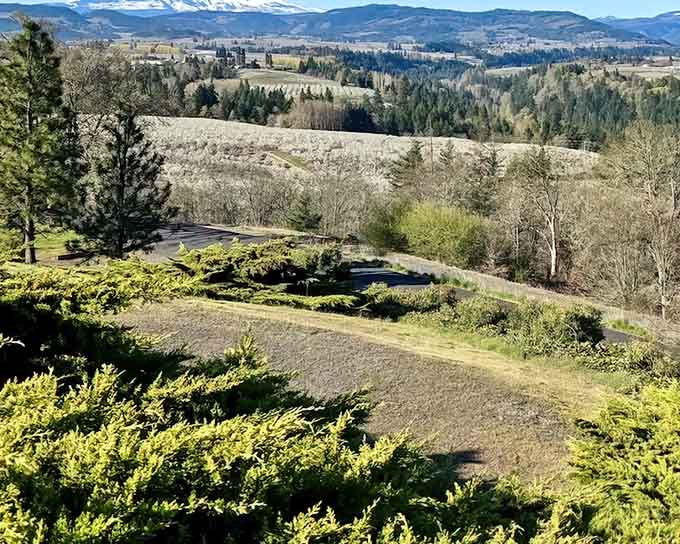 Rolling hills cascade into the valley where farms and forests blend together in pastoral harmony.