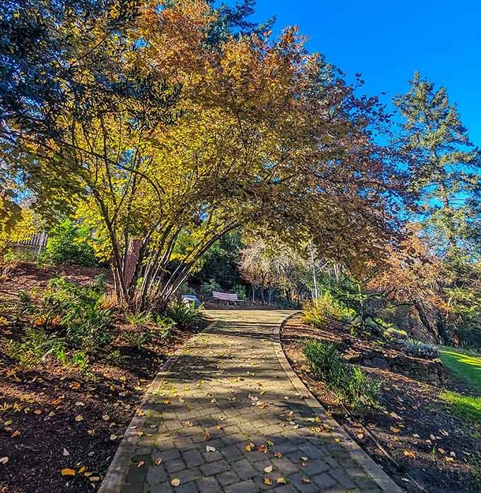 Golden autumn leaves create a natural canopy over paths that invite leisurely strolls through this beautifully maintained historic setting.