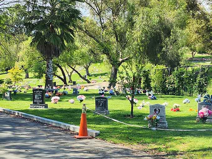 Modest markers dot the hillside cemetery, each one representing a cherished companion who brought joy to someone's life and home.