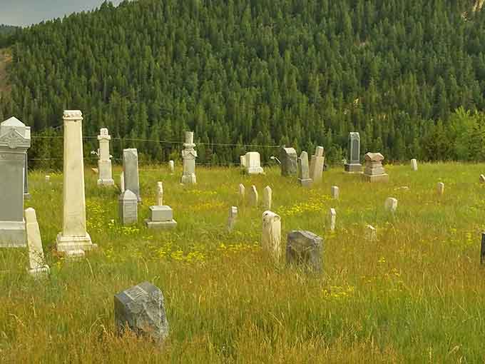 Golden meadow grasses sway around century-old monuments, creating a peaceful scene beneath the evergreen-covered mountains.