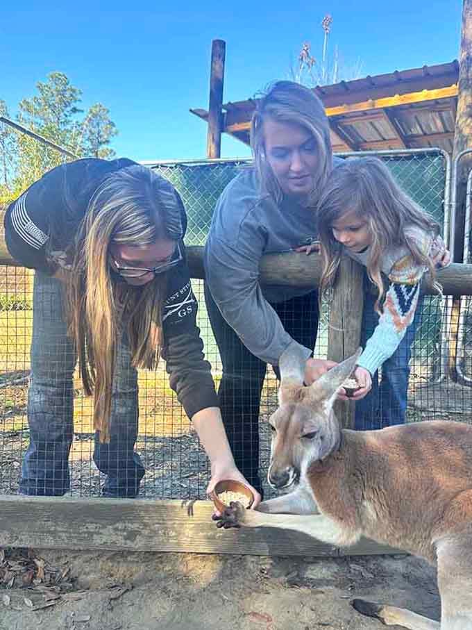 Three generations share the joy of hand-feeding a kangaroo, proving wildlife encounters create the best family memories.