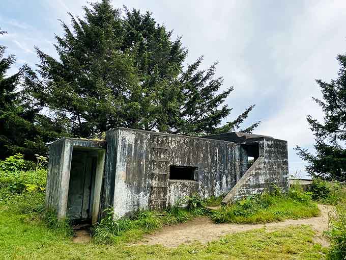 Weather-stained concrete bunkers hide among coastal vegetation, remnants of wartime vigilance now surrendering to the relentless Pacific fog.