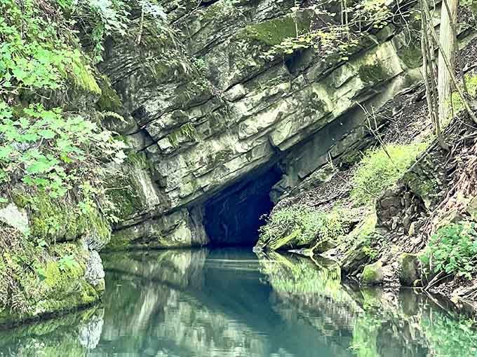 The cave entrance emerges from the hillside like a secret doorway, draped in ivy and promising underground adventures.