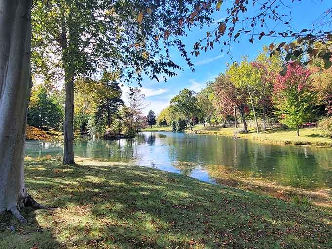 Trees frame this peaceful pond where fall colors dance on the water like nature's own impressionist painting.