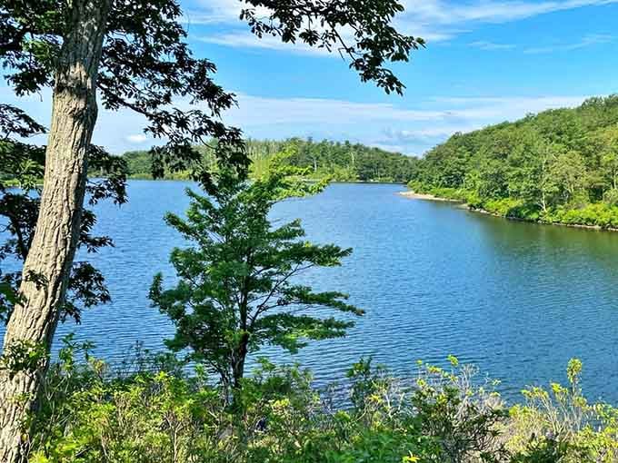 Gentle ripples disturb the glassy surface where forest meets water, creating reflections that blur reality and dreams together.