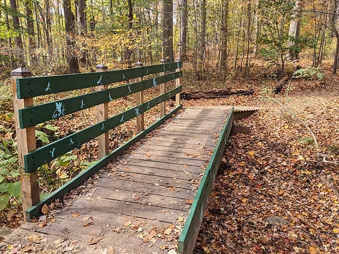 Autumn leaves carpet this charming footbridge, creating nature's own welcome mat for woodland wanderers and daydreamers alike.