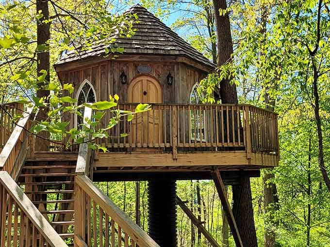 Spiral staircase leads to childhood dreams realized in this enchanting woodland retreat above the trees.