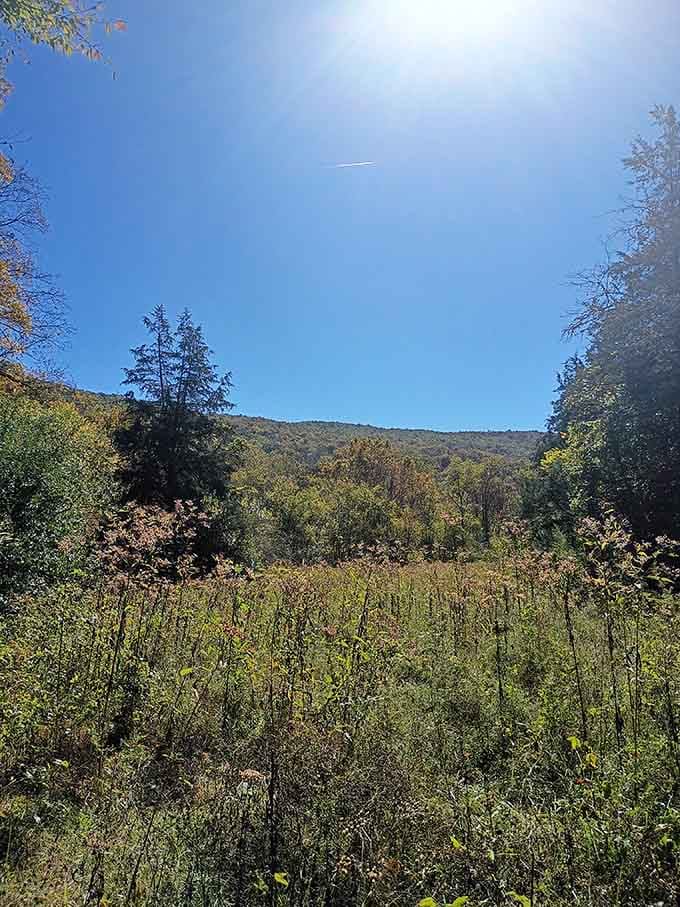 That perfect blue sky framing distant mountains reminds you why some hikes become stories you'll tell for years.