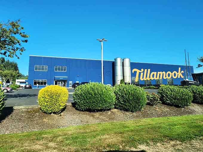 Behind that blue building, dairy magic happens daily, transforming fresh milk into the cheese filling refrigerators across America.