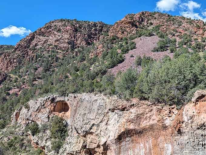 The massive travertine bridge arches over the canyon, creating a natural tunnel where water flows and moss grows year-round.