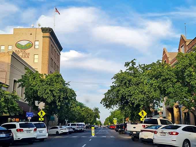 Mature trees create a green canopy over historic downtown streets that stay cool even in summer.