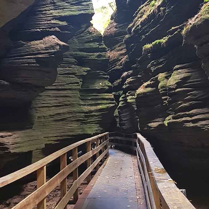 Sunlight barely penetrates this mystical passage where sandstone layers create patterns like pages in Earth's diary.