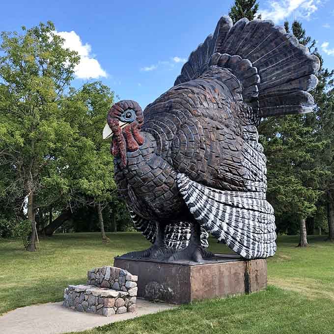 The turkey's impressive tail fans out in full display, each detailed feather catching light like a roadside attraction Oscar.