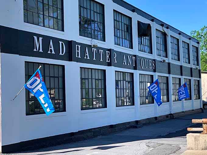 The Mad Hatter would feel right at home here, surrounded by treasures that make perfect sense to collectors.