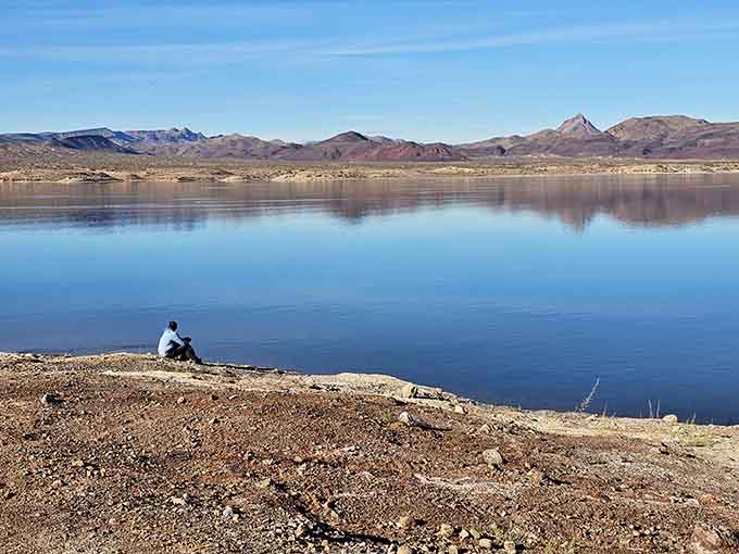 Sometimes the best seat in the house is a rocky outcrop overlooking water that shouldn't exist here.