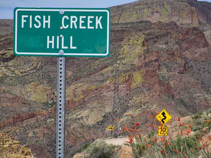 Fish Creek Hill: where your GPS has an existential crisis and your camera gets a serious workout.