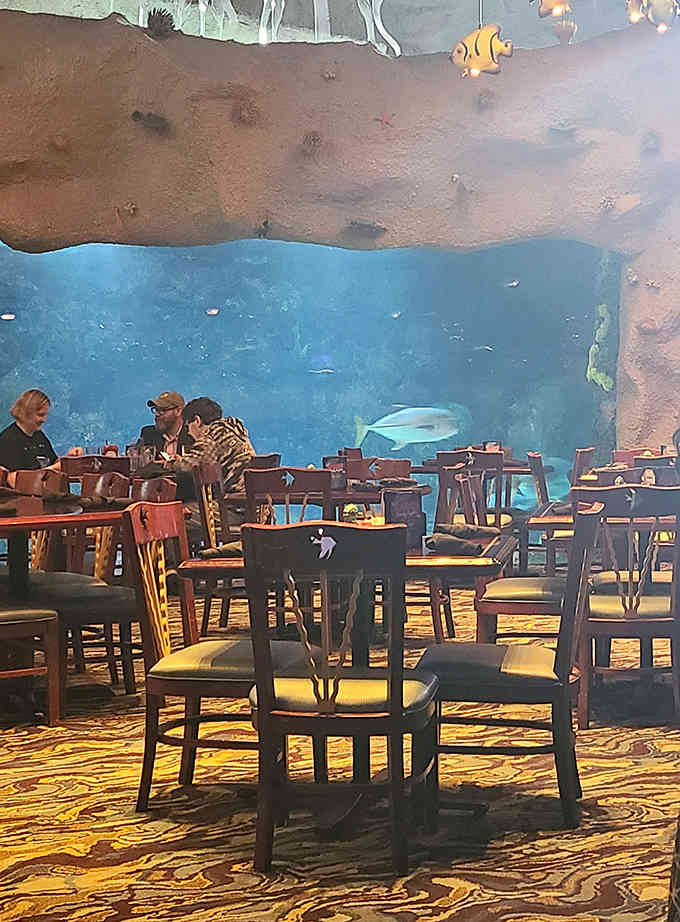 Dining beside the massive aquarium means every meal comes with a side of mesmerizing marine entertainment.
