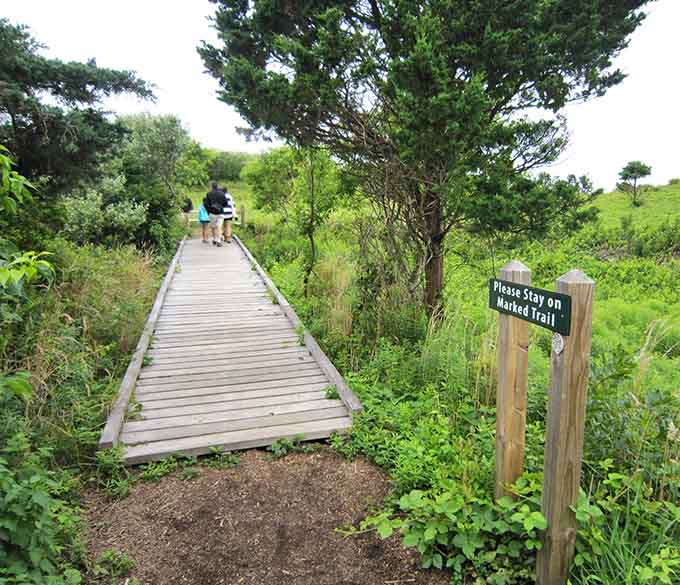 Wooden boardwalks wind through wild grasses, making the journey to spectacular views accessible for everyone.