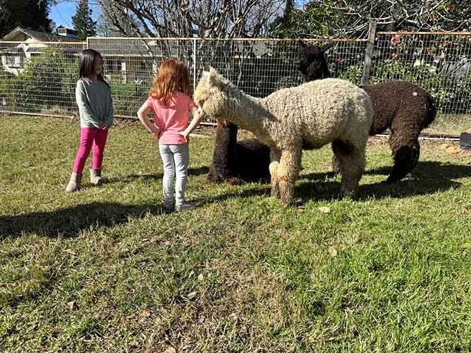 Little ones learning that the best friendships sometimes come with four legs and impossibly soft fleece coats.