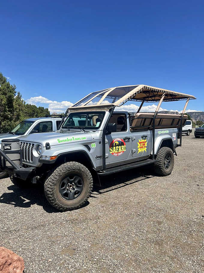 The modern safari vehicle, complete with shade cover and stadium seating, because adventure should include some comfort too.