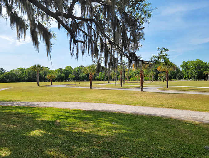 Spanish moss creates natural curtains over sprawling green spaces, proving Mother Nature has impeccable decorating taste.