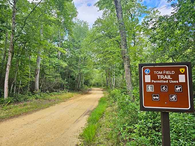 The Tom Field Trail welcomes everyone, whether you're walking, biking, or just trying to burn off breakfast.