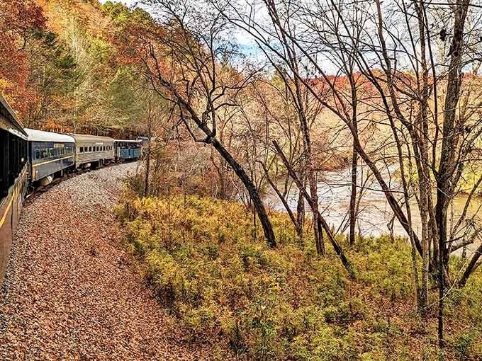 The train hugging riverside curves through fall foliage delivers views that make highway billboards look absolutely ridiculous.
