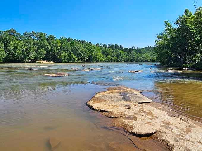 The Broad River flows wide and inviting, perfect for kayaking or just contemplating your excellent vacation choices.