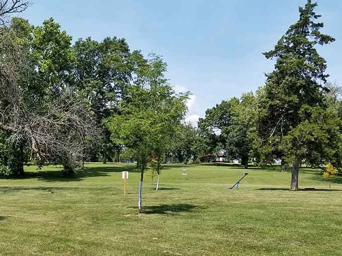 Disc golf course winds through mature trees, offering free recreation in a genuinely peaceful setting.