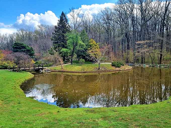Early spring at the pond, when nature's still deciding which color palette to commit to this year.